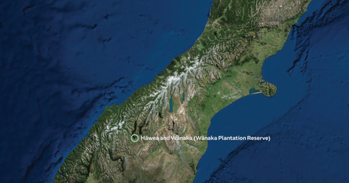 SILNA | Te Rūnanga o Ngāi Tahu