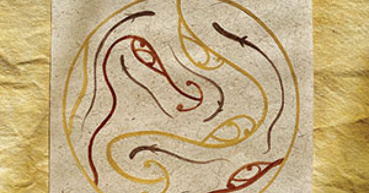 Aukaha | Te Rūnanga o Ngāi Tahu