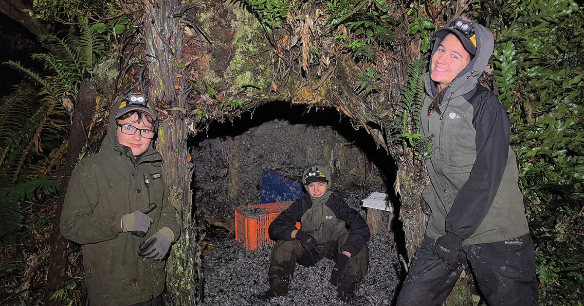 Aukaha: Capturing the Magic of the Tītī Islands | Te Rūnanga o Ngāi Tahu