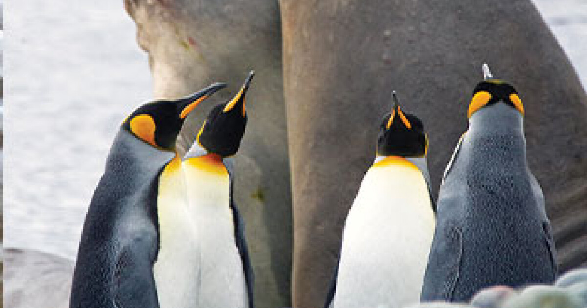 Rereka ki te Toka | Te Rūnanga o Ngāi Tahu