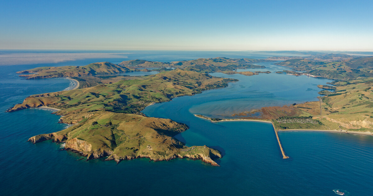 Whenua | Te Rūnanga o Ngāi Tahu