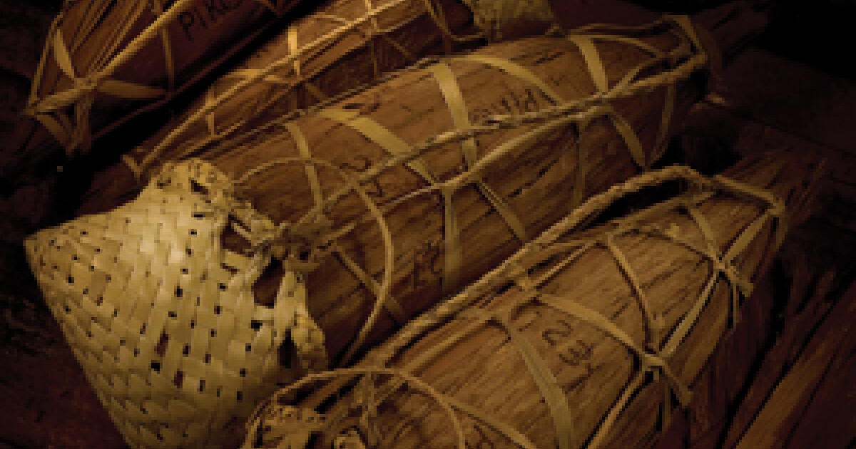 The Ninth Tree | Te Rūnanga o Ngāi Tahu