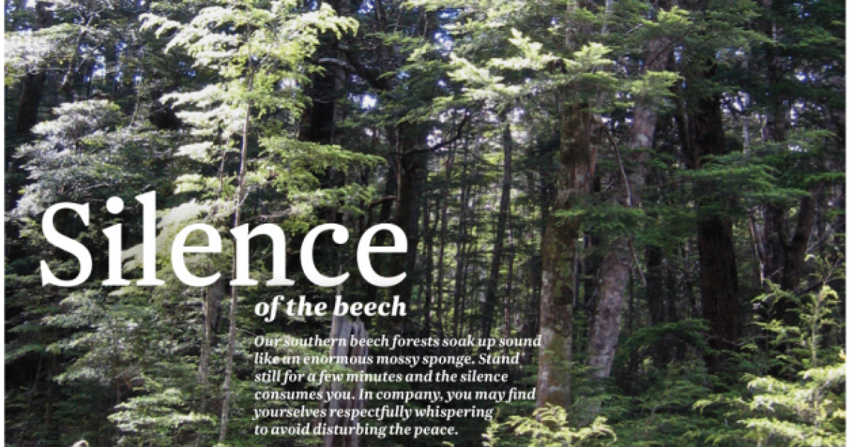 He Aitaka a TāneSilence of the beech | Te Rūnanga o Ngāi Tahu