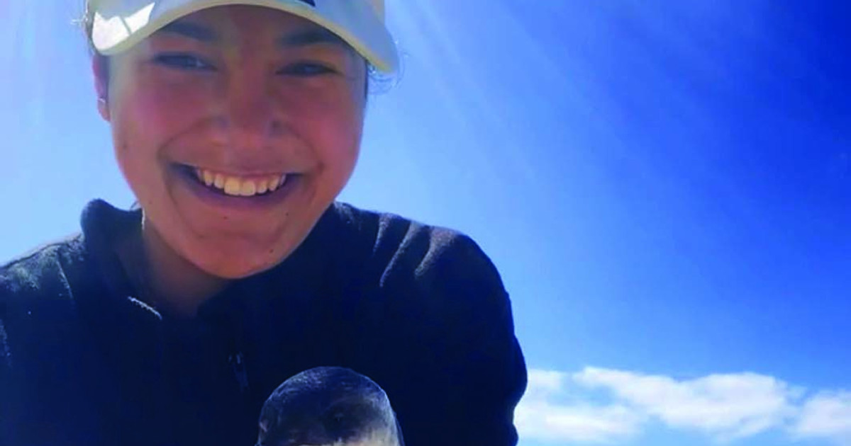 Moving Manu: How translocation could save our kuaka | Te Rūnanga o Ngāi ...